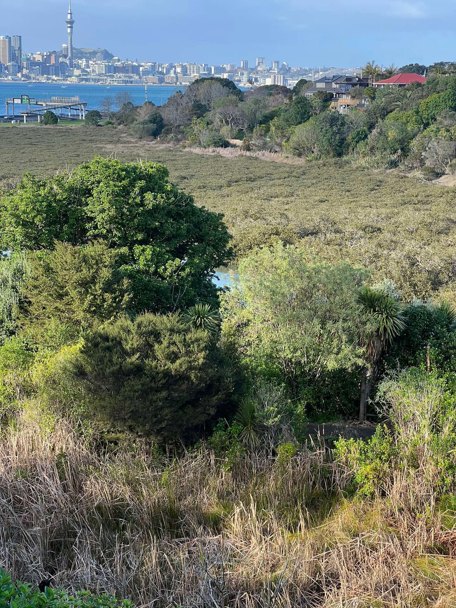First trial event – 7th September 2025 | Tuff Crater Reserve parkrun