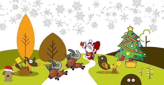 Westport Parkrun Christmas day event 2019 | Westport parkrun