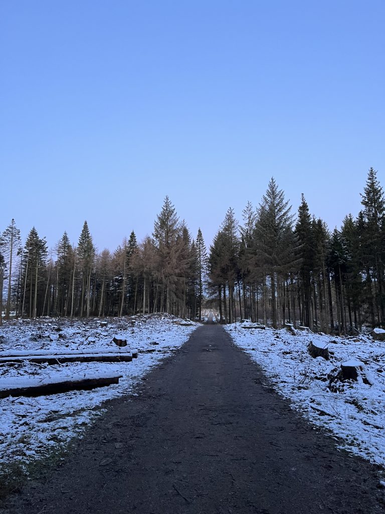 news | Beecraigs Country Park parkrun