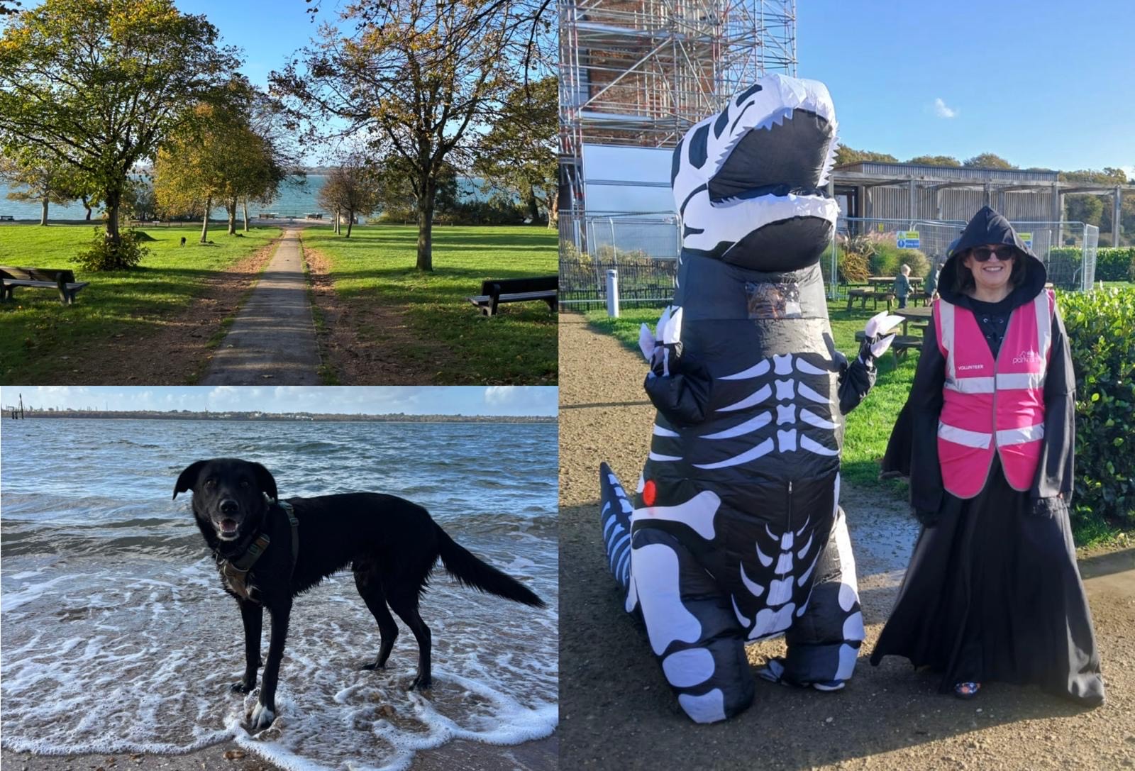 Run report 01/11/25 by Katie Smith and Laura Duffin | Netley Abbey parkrun