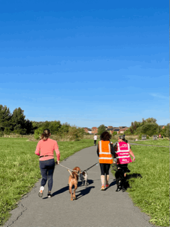 Tourist Run Report – Event 377 – 17th September 2022 | Aylesbury parkrun