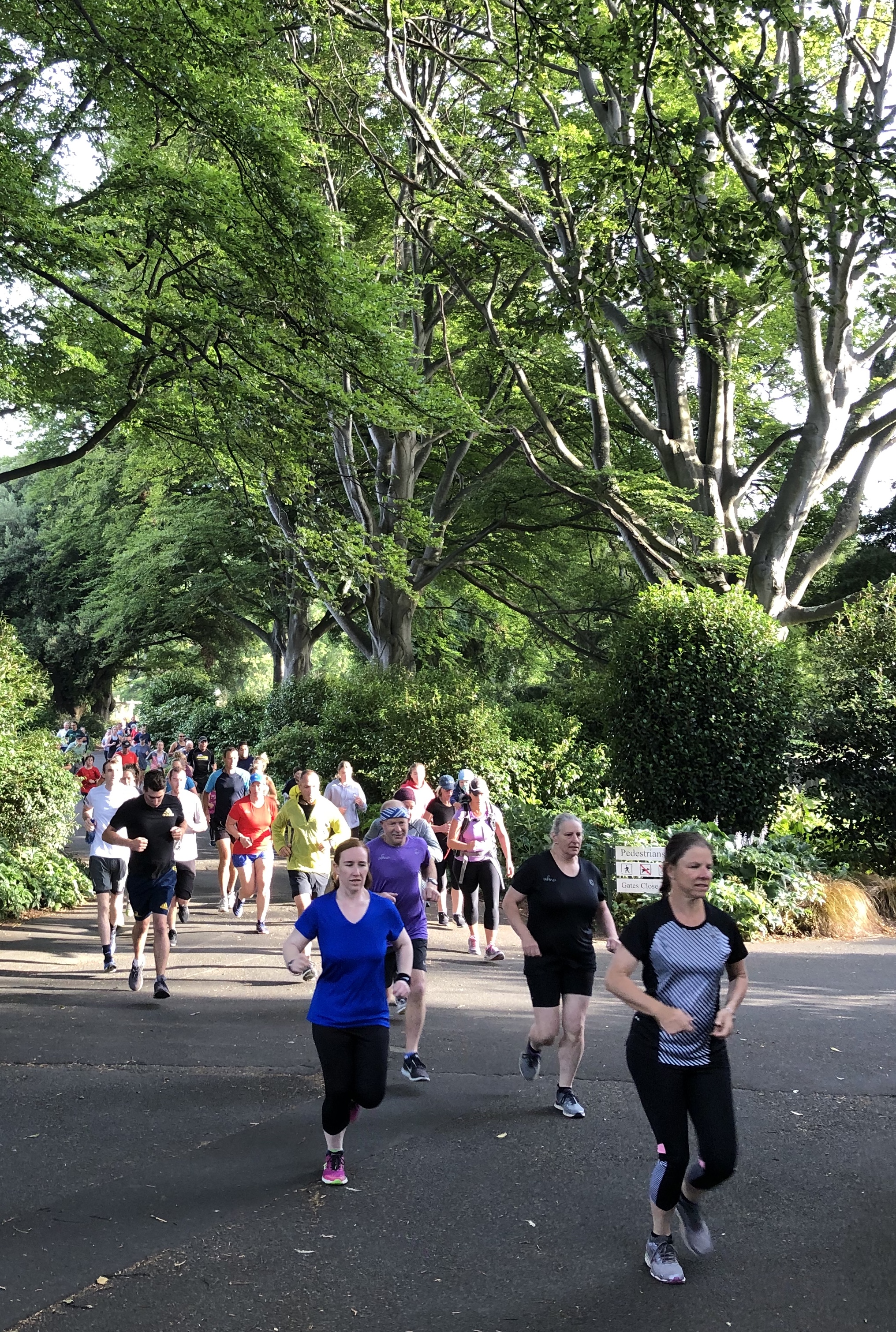 Event 3-2-1 … GO! | Dunedin parkrun
