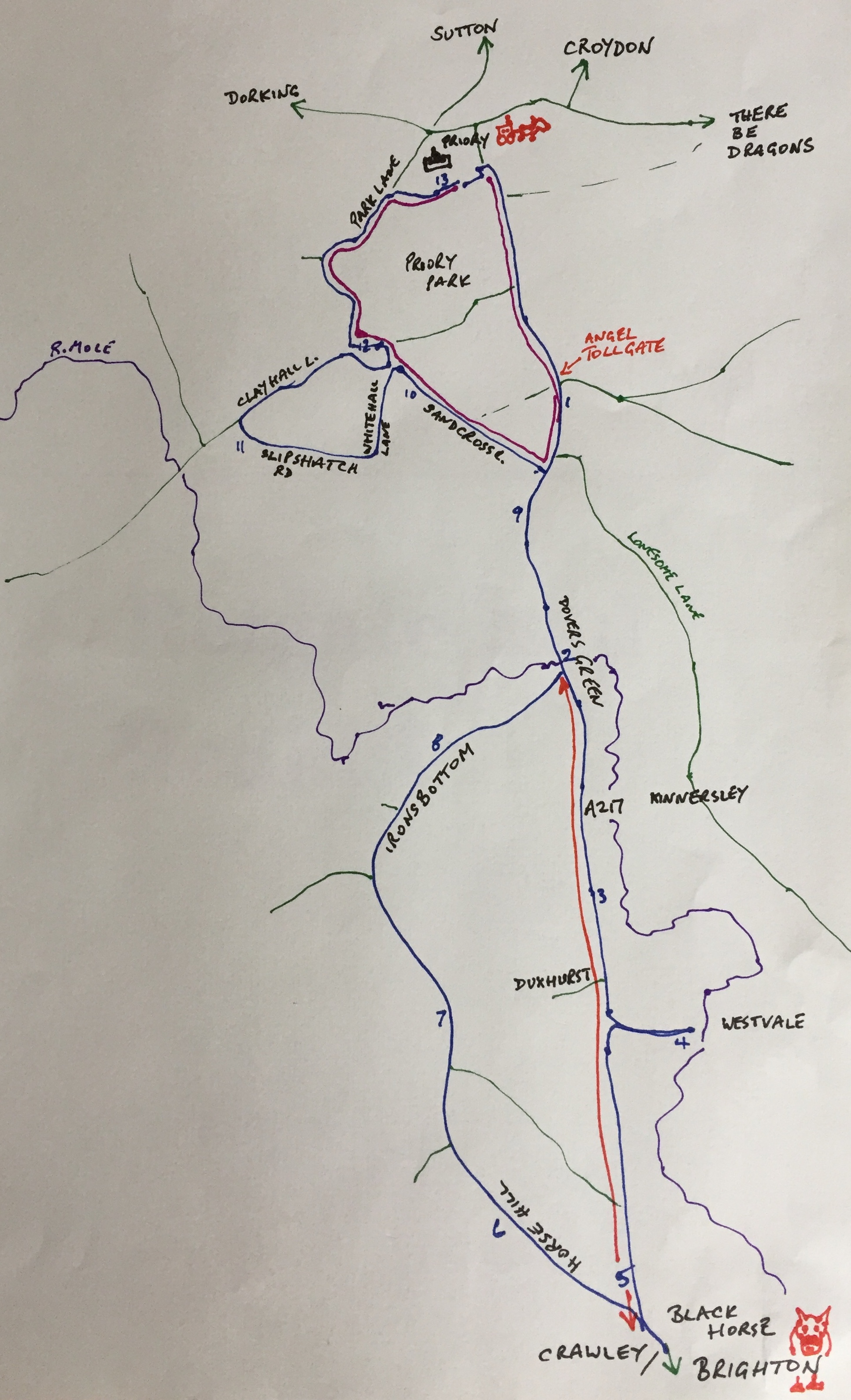 314.66 – Running Reigate | Reigate Priory parkrun