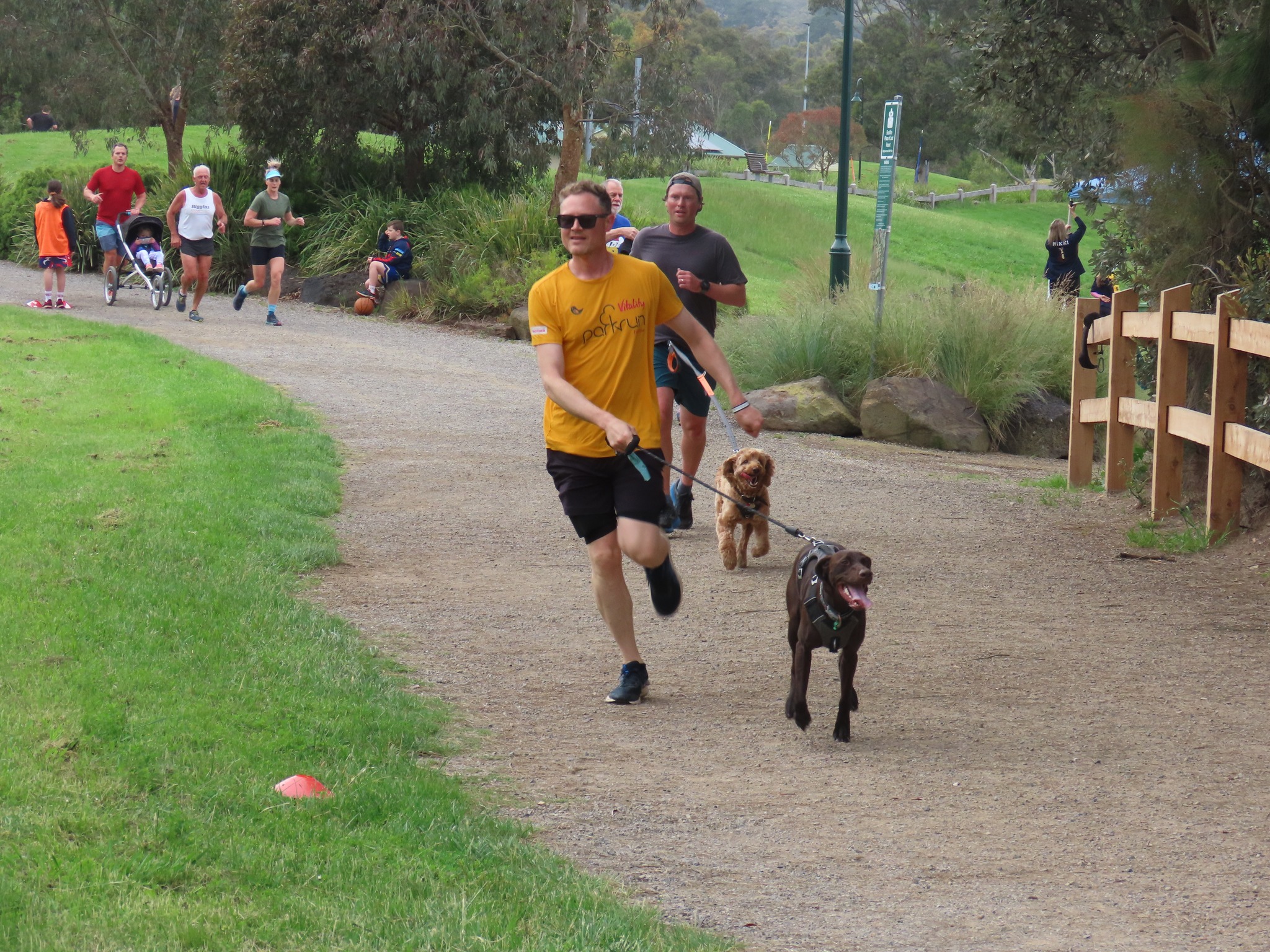 Lillydale Lake Park Run – Event #378 | Lillydale Lake parkrun