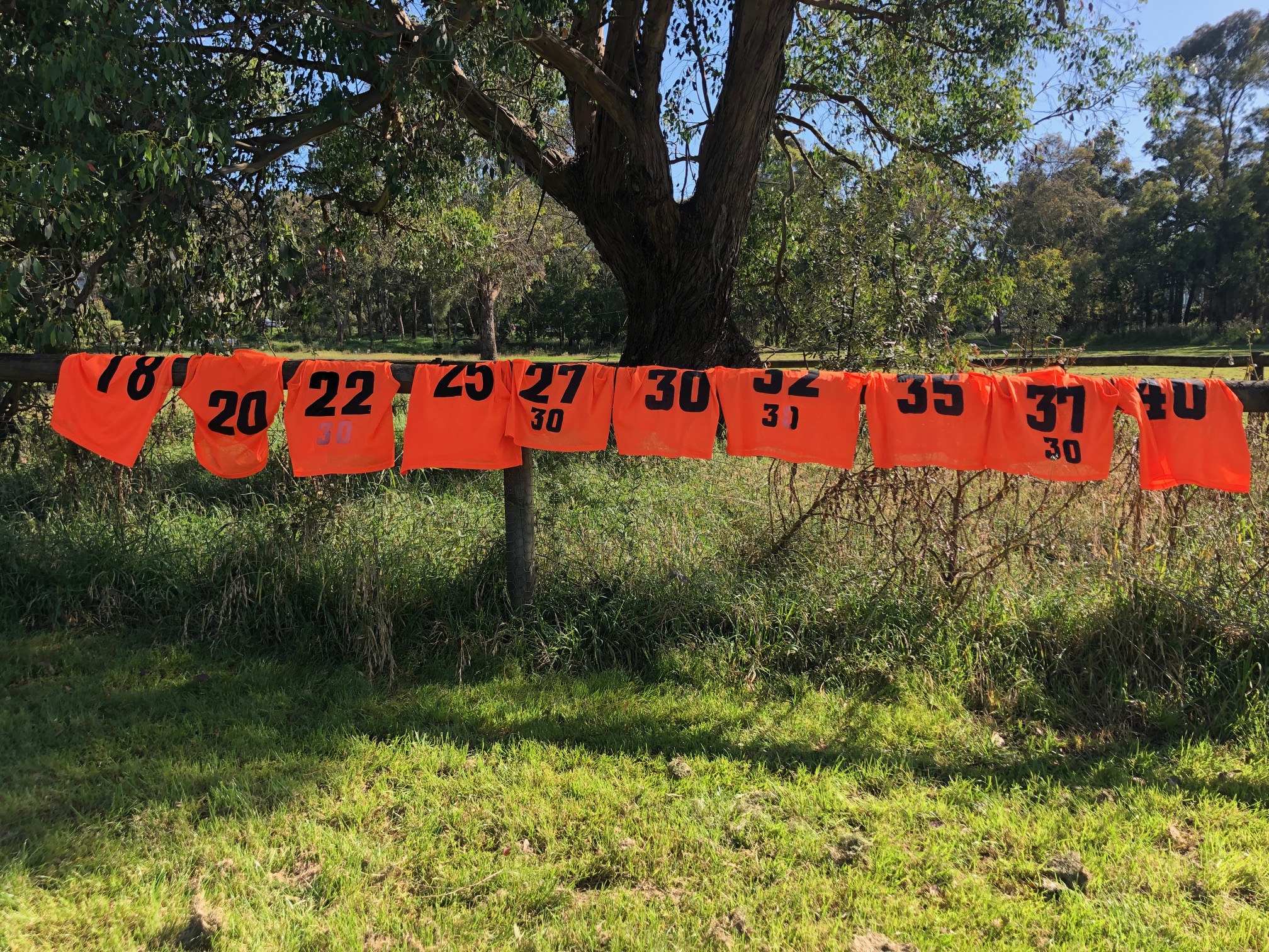 Lillydale Lake Park Run – Event #381 | Lillydale Lake parkrun