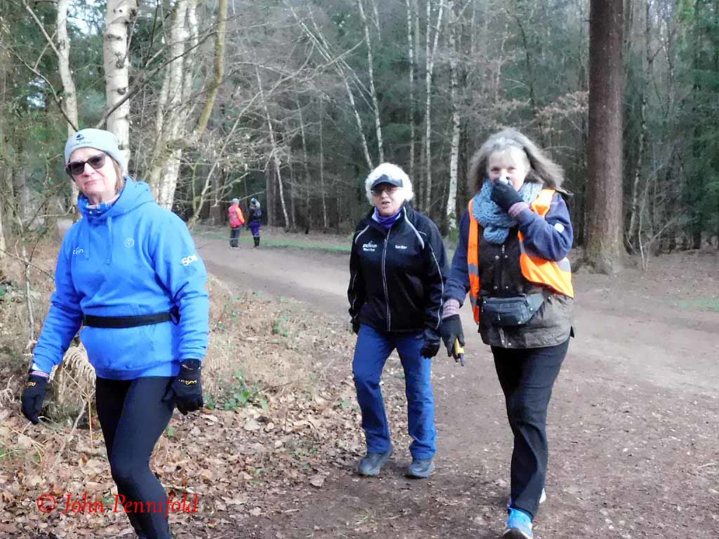 Where’s the start?! | Black Park parkrun