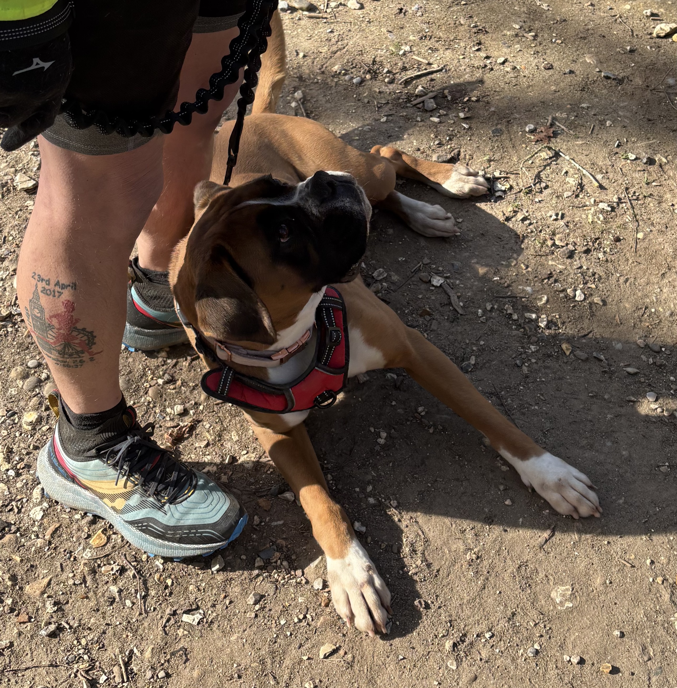 Parkrun number 758 | Black Park parkrun