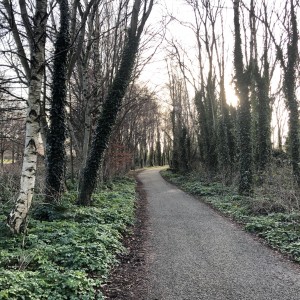 Join us this New Year’s Day for a special parkrun at Tymon | Tymon parkrun