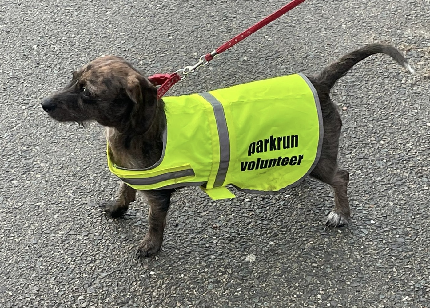 Event #441 (10th Feb 2024) | Great Notley parkrun