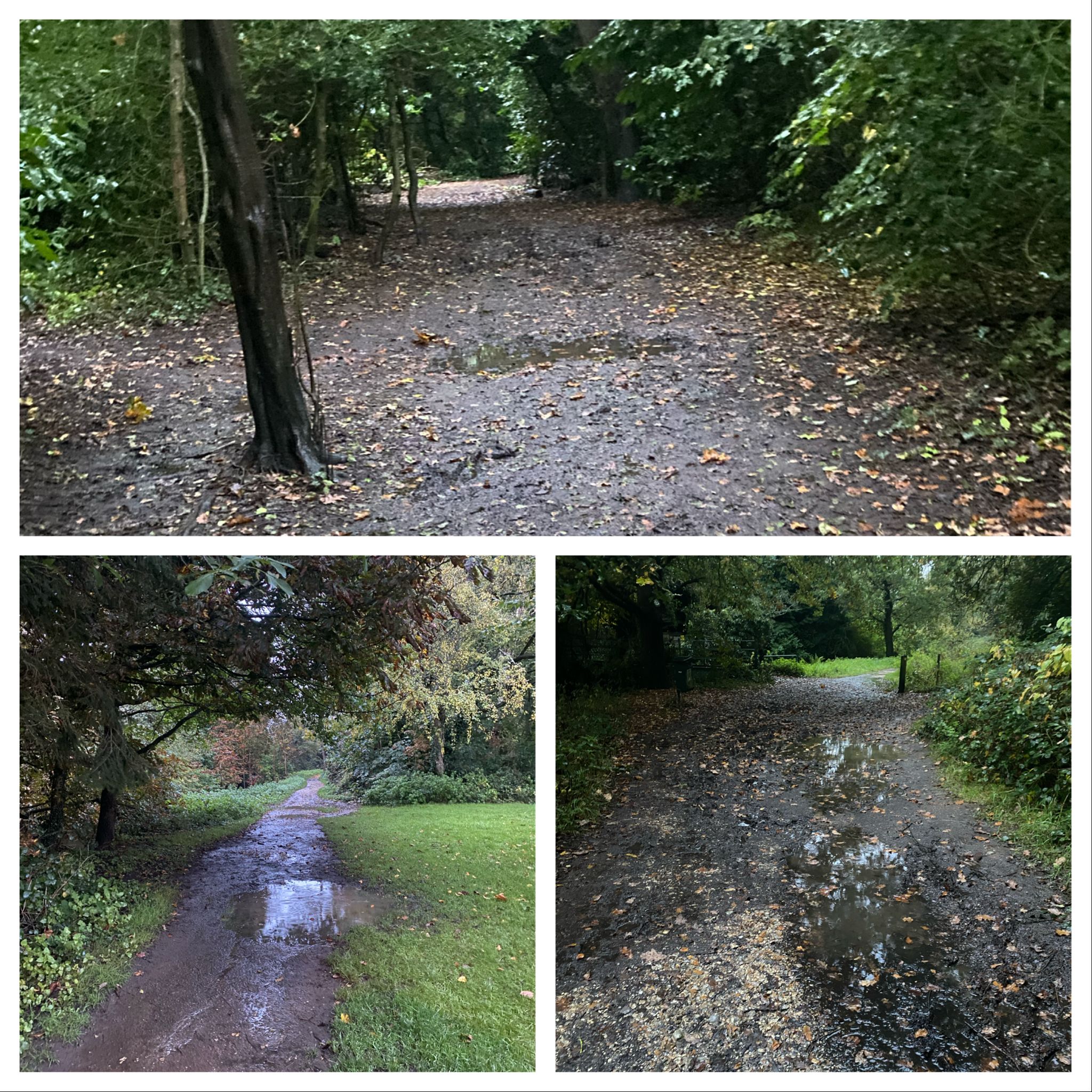 Event #436 – The Return of the Mud (again) | Woking parkrun