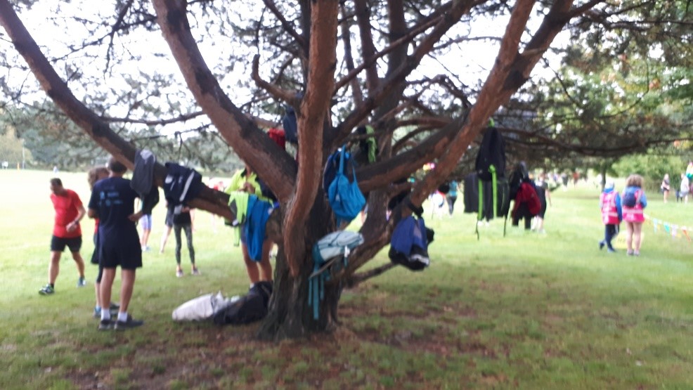 10 years of Horsham parkrun! | Horsham parkrun