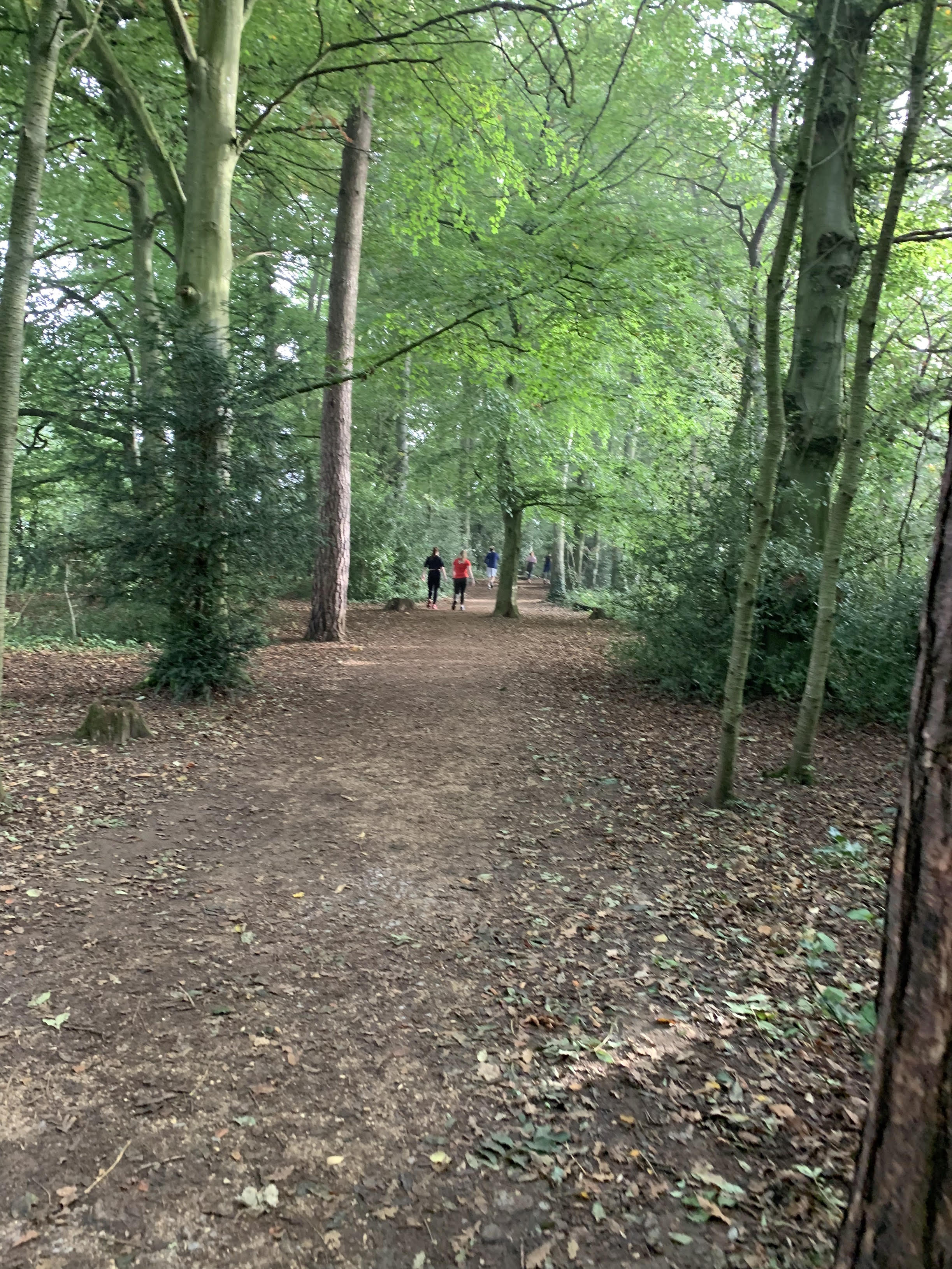Bath Skyline parkrun – event no.292 | Bath Skyline parkrun