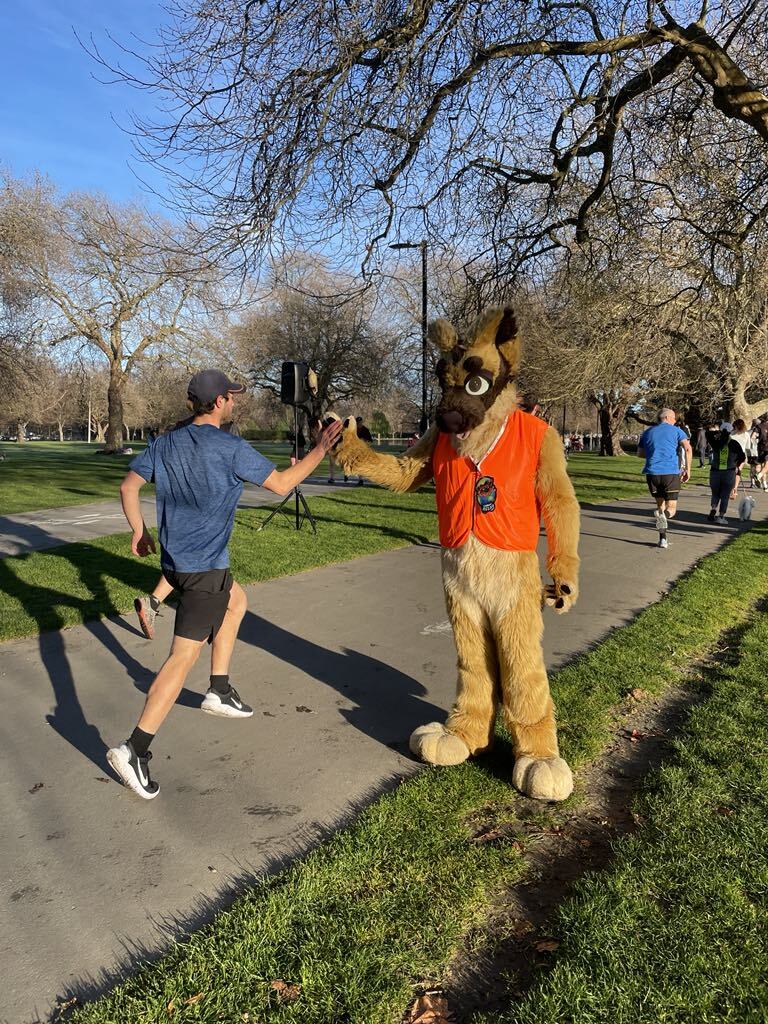 Barkrun Day Run Report | Hagley parkrun