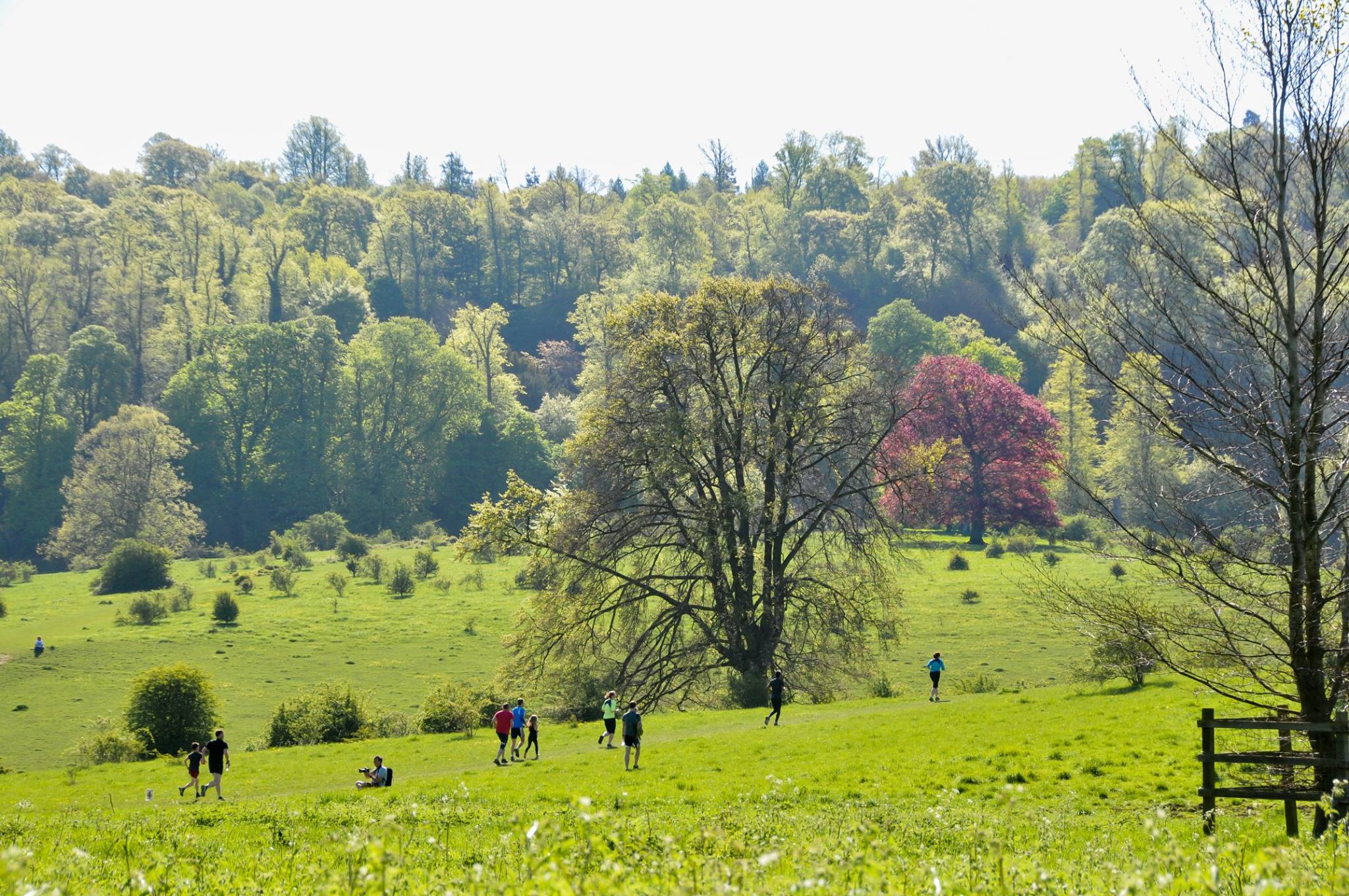 news | Tring parkrun