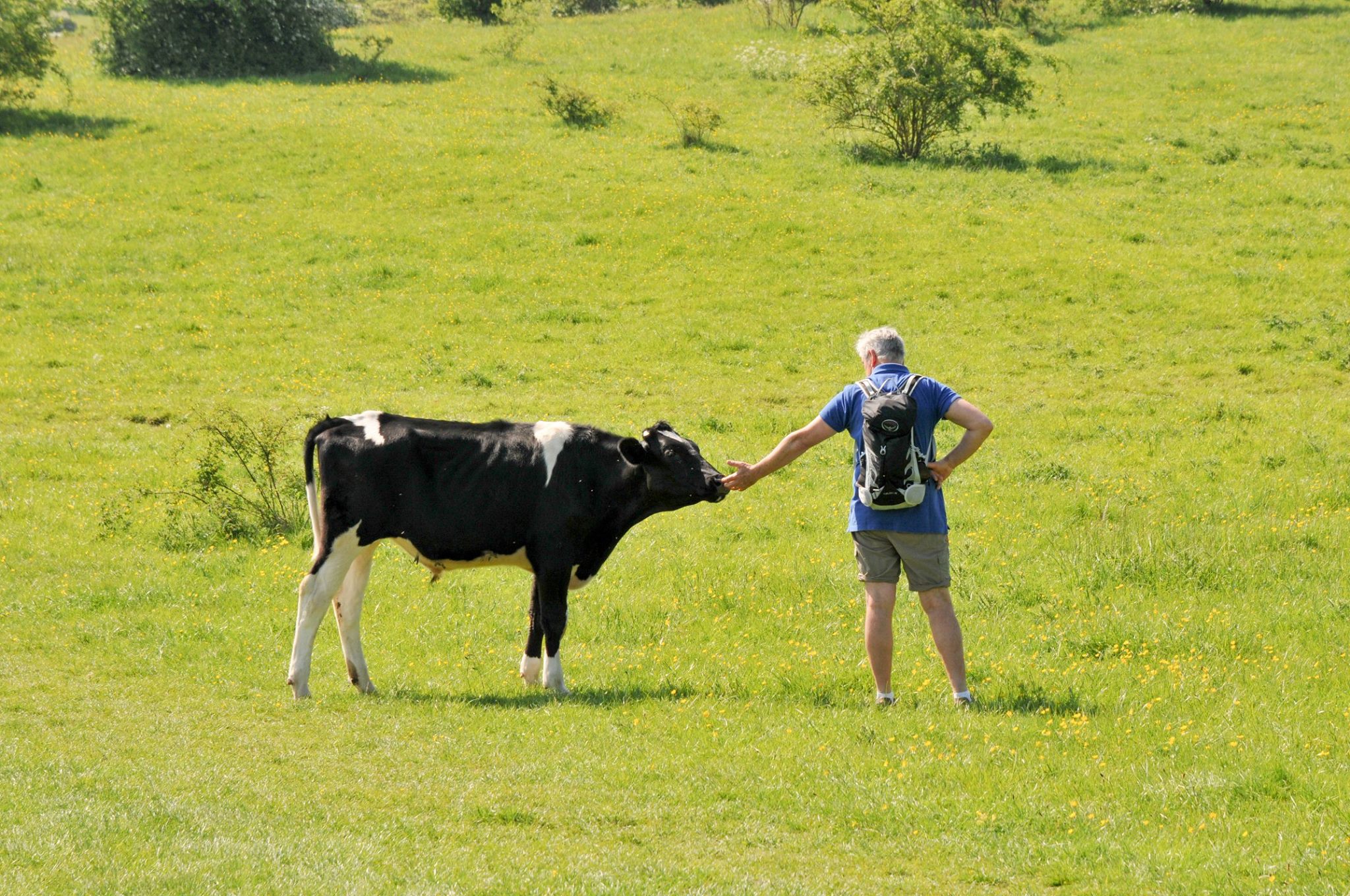 news | Tring parkrun