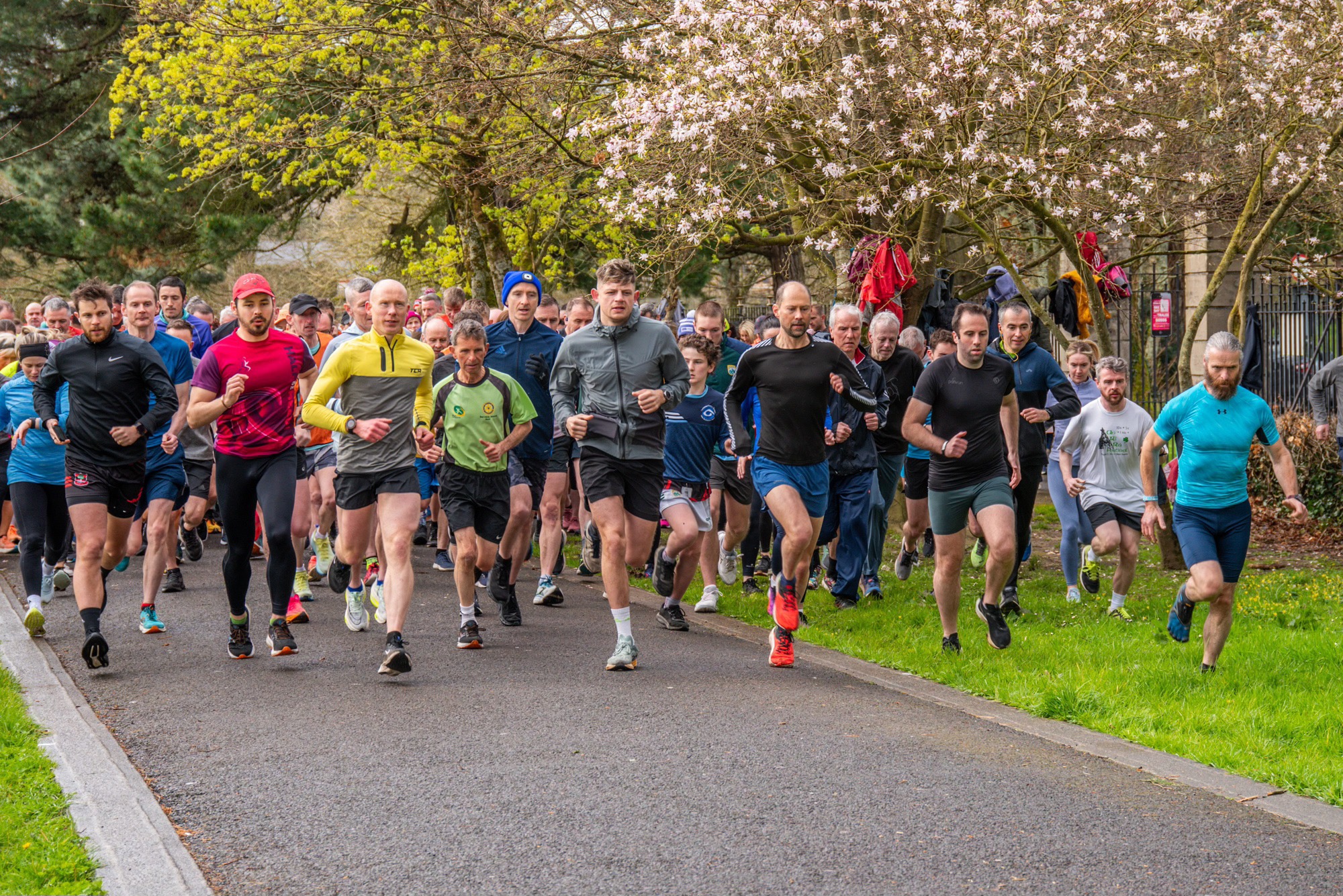 news | Tralee parkrun