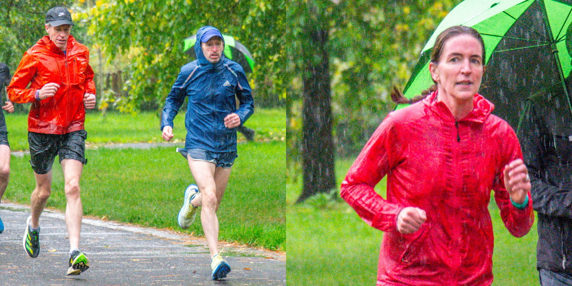 news | Tralee parkrun