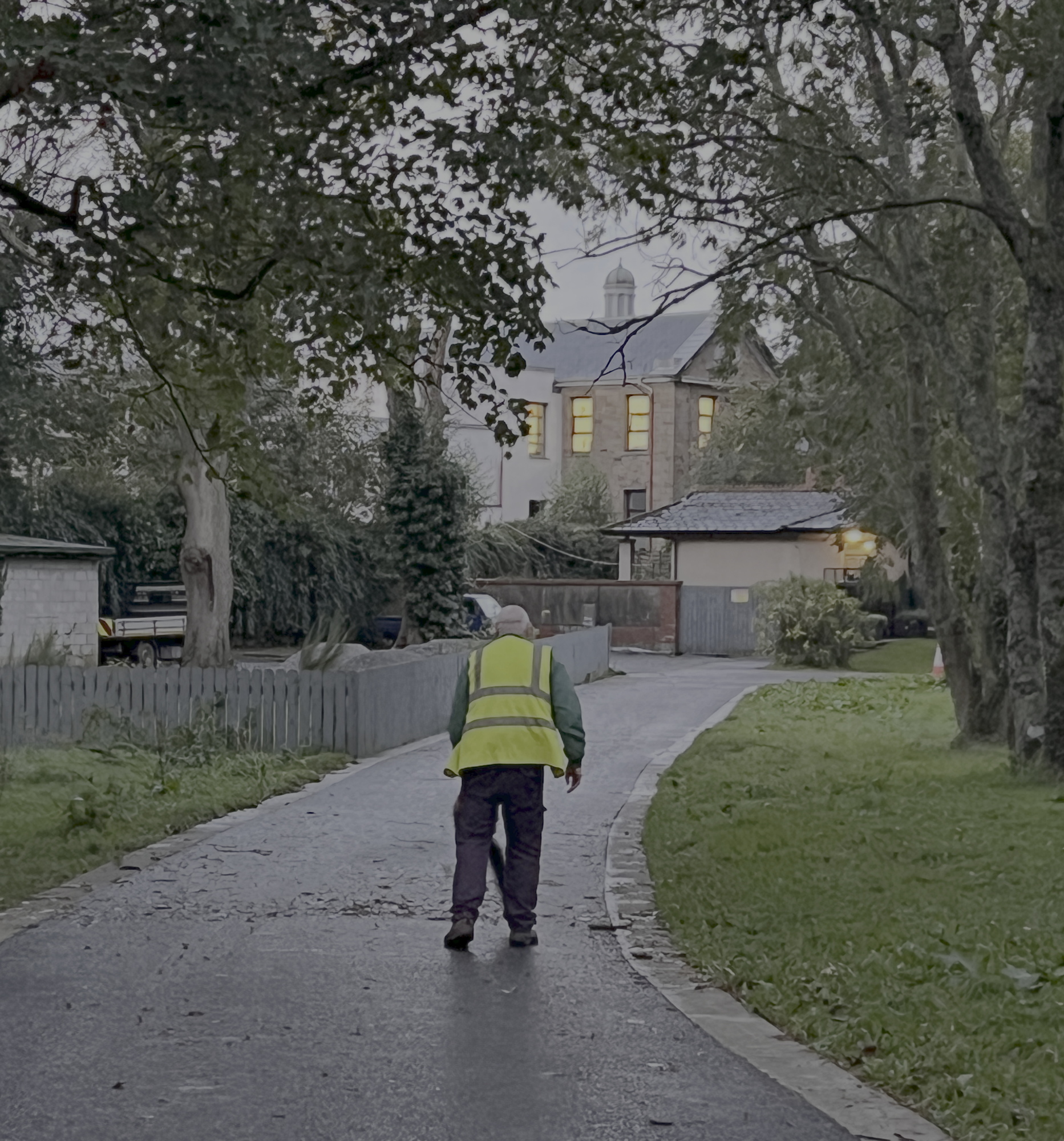 After Amy – Run Report #486… | Tralee parkrun