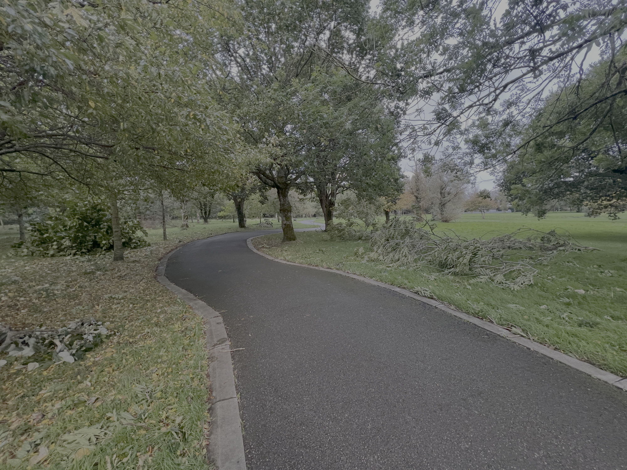 After Amy – Run Report #486… | Tralee parkrun