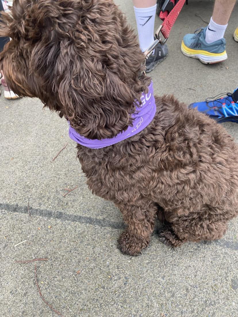 Aberystwyth parkrun #537 run report | Aberystwyth parkrun