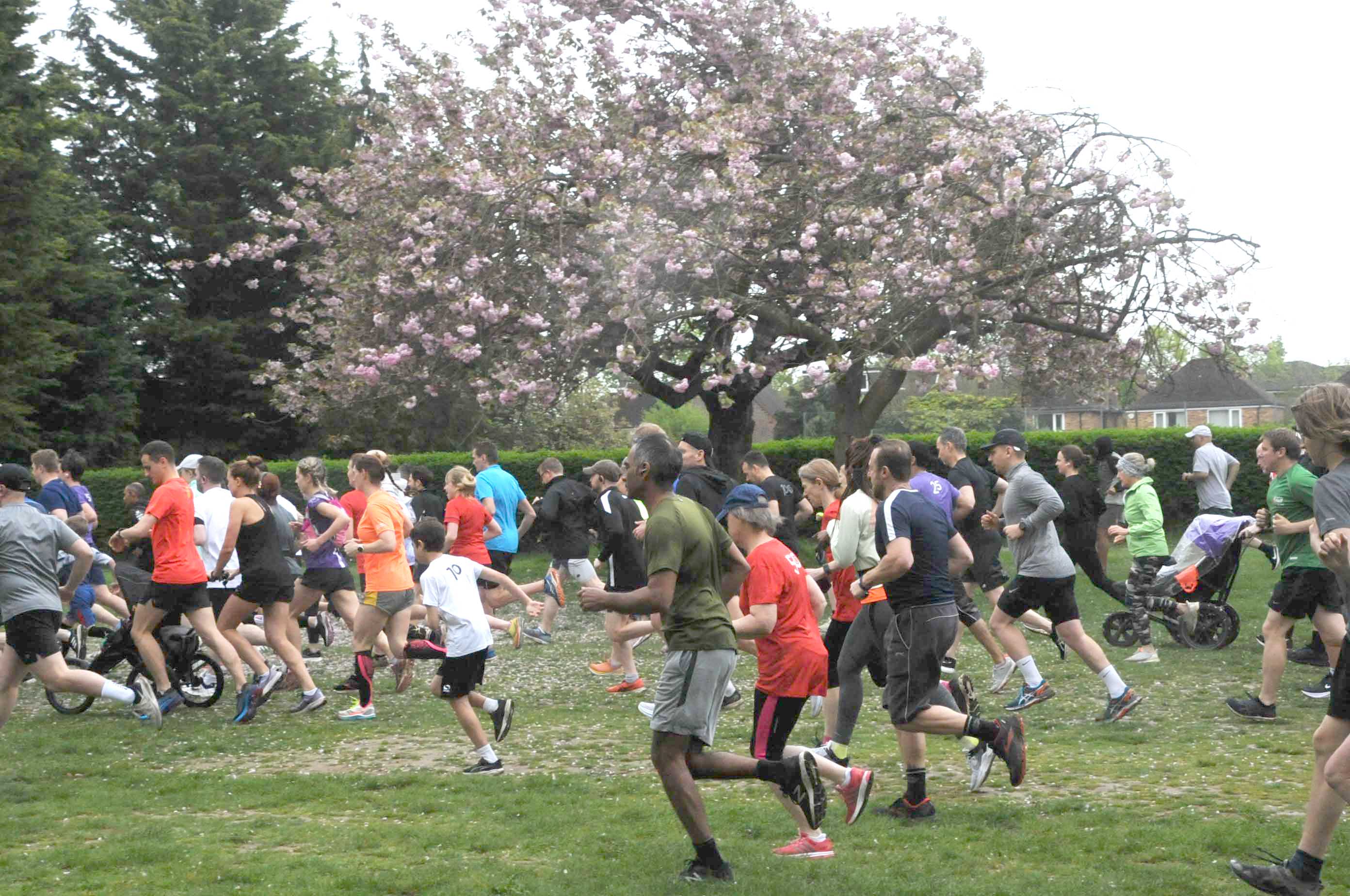news | Cassiobury parkrun