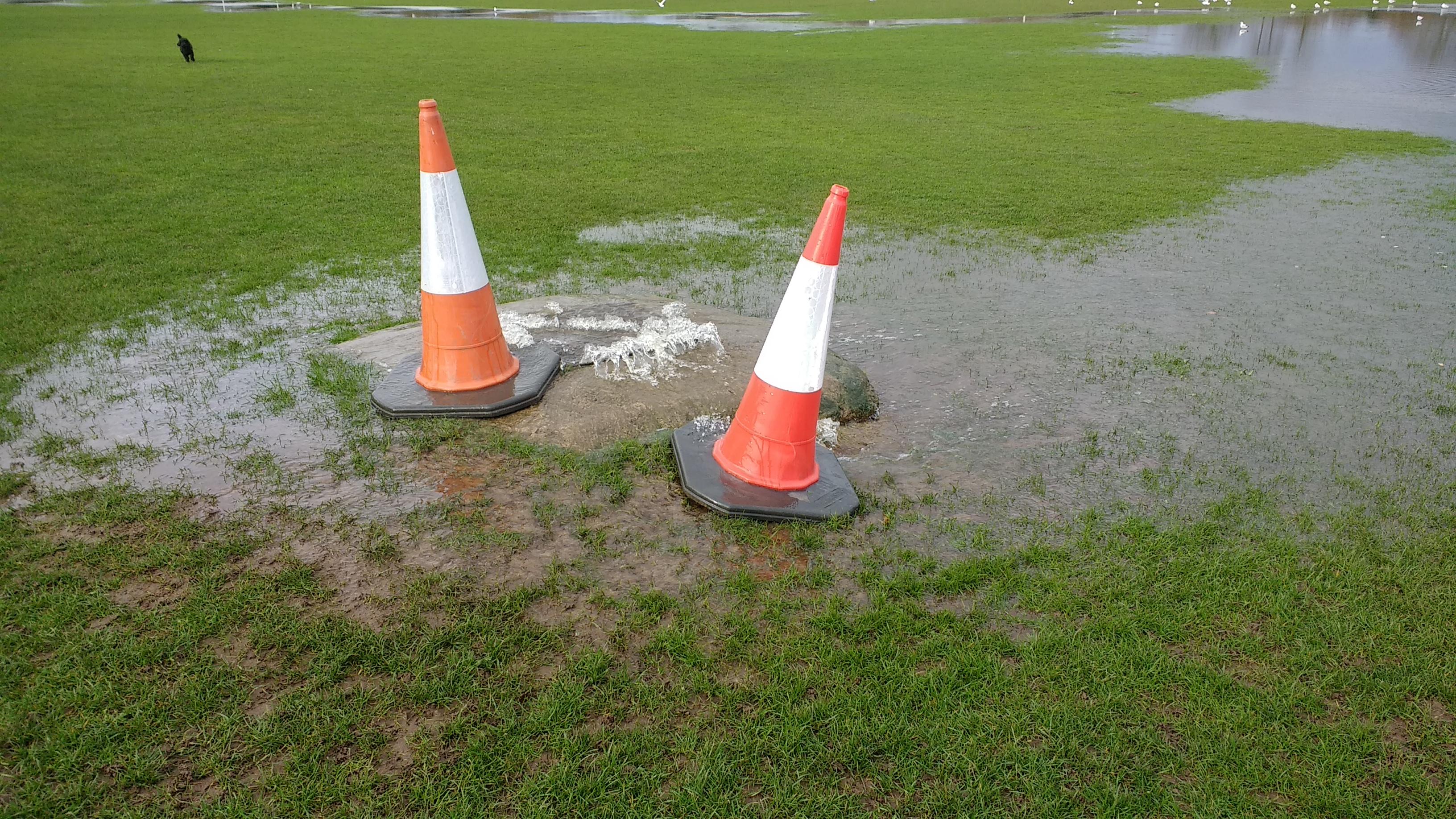 The run that never was… (Not event number 182!) | Wetherby parkrun