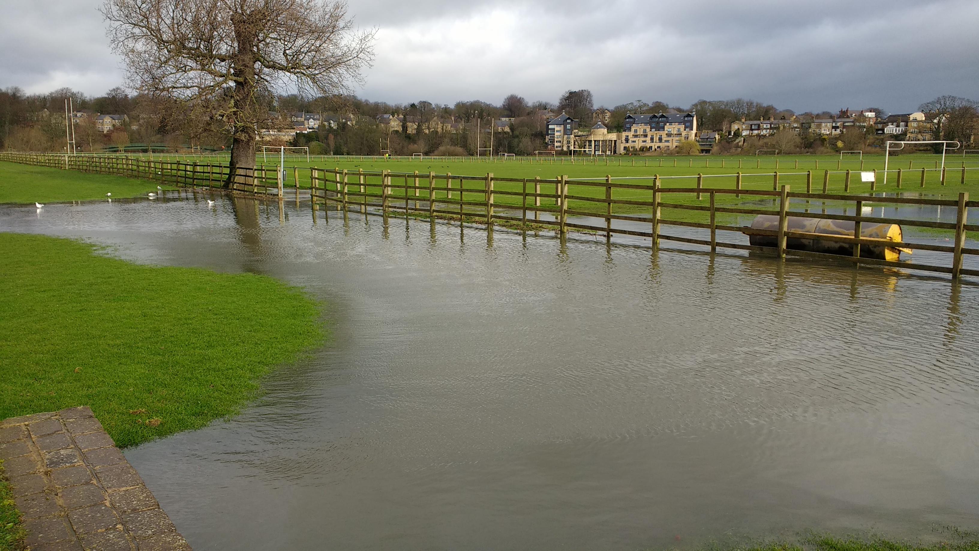 The run that never was… (Not event number 182!) | Wetherby parkrun