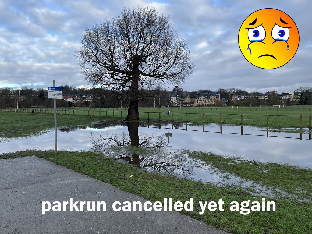 news | Wetherby parkrun