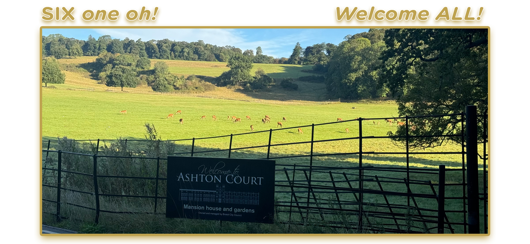 A gloriously bright day | Ashton Court parkrun