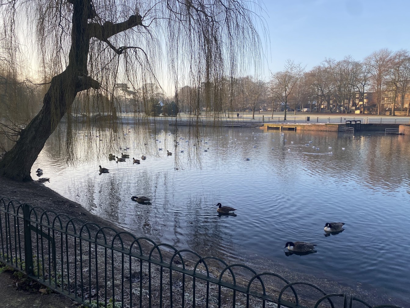 Event #331 – the one on another chilly morning. | Luton Wardown parkrun