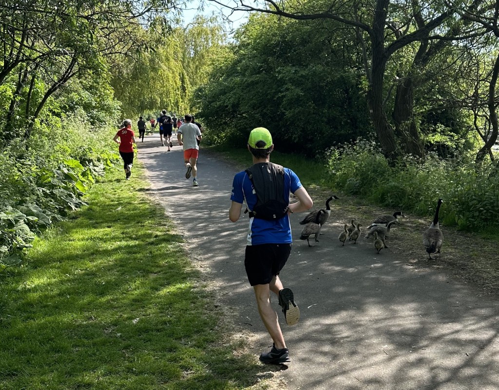 Event 339, 24th June 2023, has anyone mentioned how warm it is ...