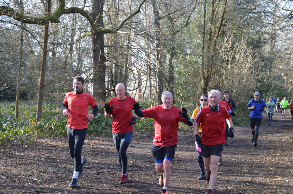 news | Banstead Woods parkrun