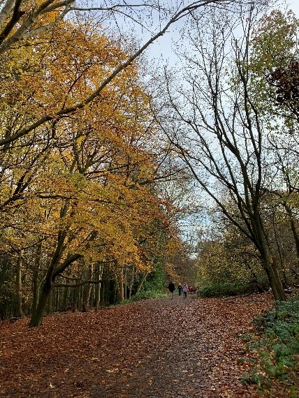 news | Banstead Woods parkrun