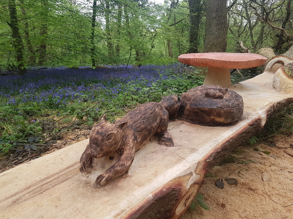 The Bluebell Run | Banstead Woods parkrun