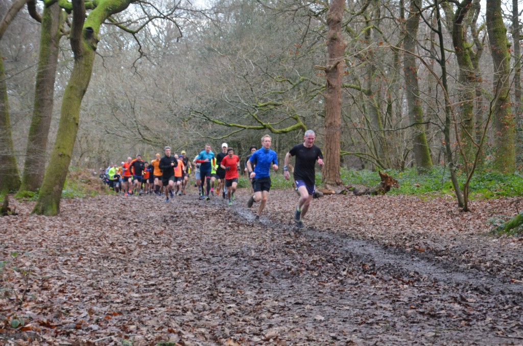 Where Did They All Come From? | Banstead Woods parkrun