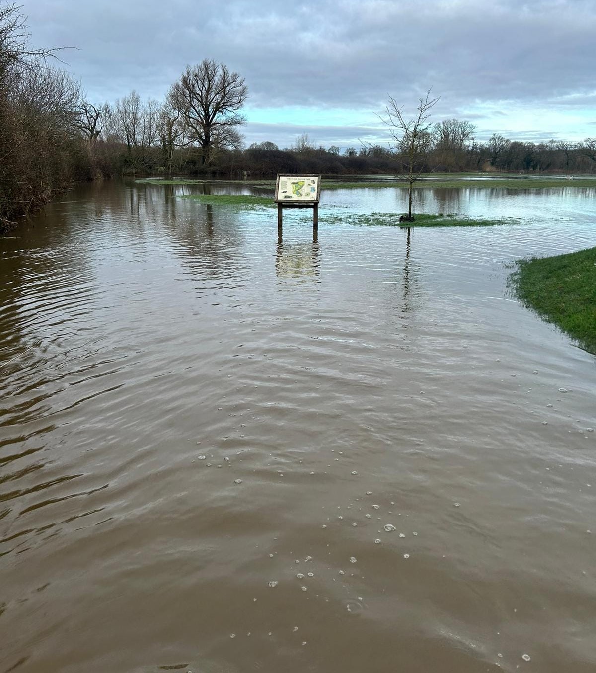 Sliding into 2024! | Basingstoke parkrun