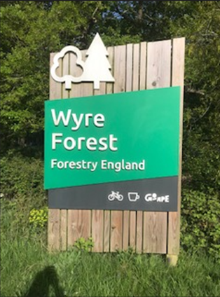 Wyre Forest Parkrun Number 375 | Wyre Forest parkrun