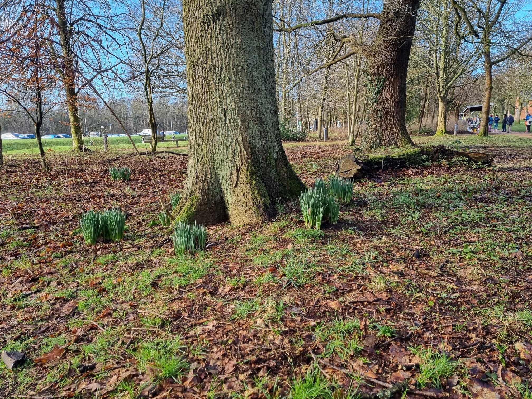 Run report – 24 February 2024 | Pollok parkrun