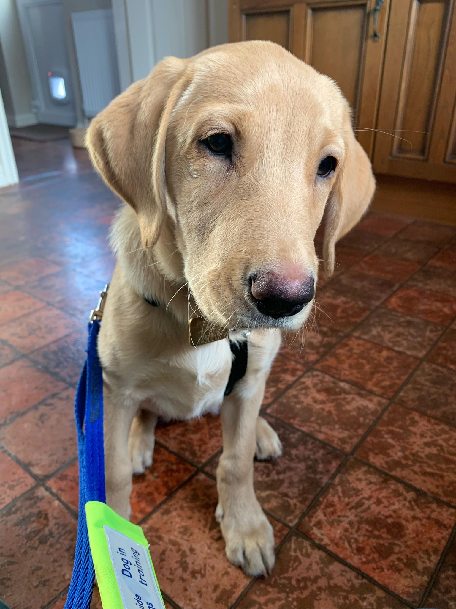 What a lovely morning for a parkrun! Boston parkrun #310 | Boston parkrun