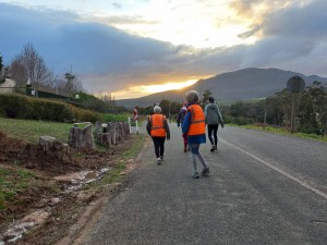 Hermanus parkrun Event No.351 13 July 2024 | Hermanus parkrun
