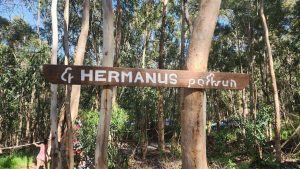 Summary of Hermanus parkrun (04-10-2025)#416 | Hermanus parkrun