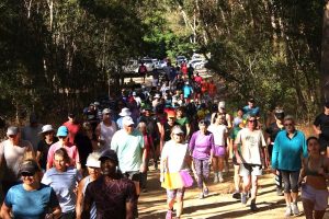 Summary of Hermanus parkrun (22-11-2025)#423 | Hermanus parkrun