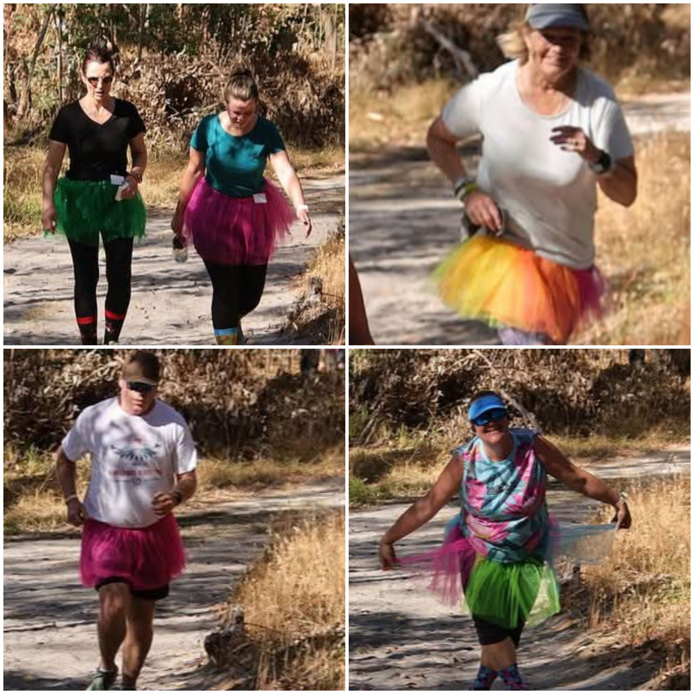 Summary of Hermanus parkrun (22-11-2025)#423 | Hermanus parkrun