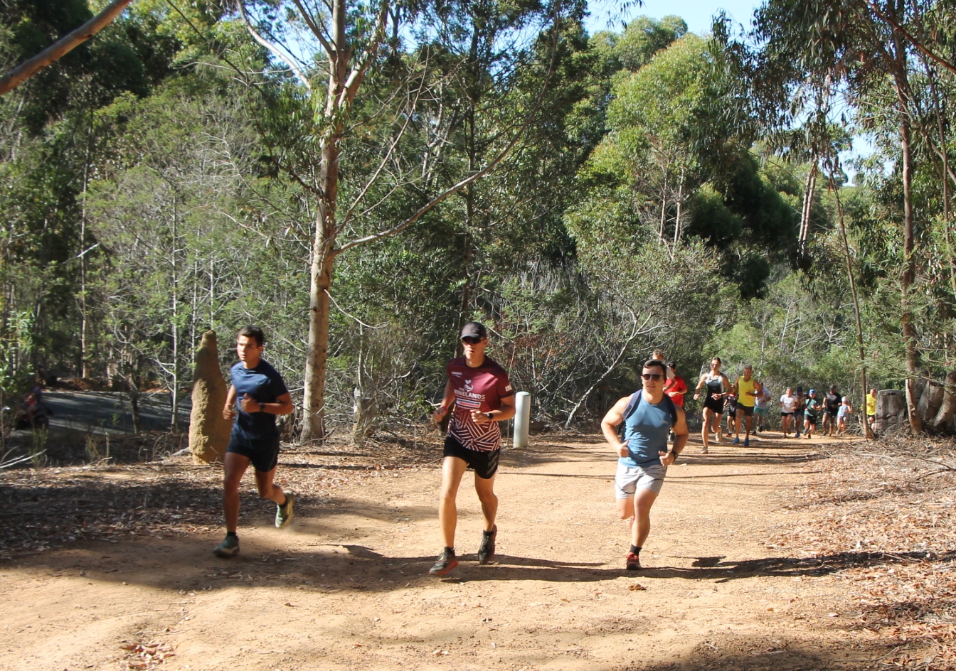 Summary of Hermanus parkrun (06-12-2025)#425 | Hermanus parkrun