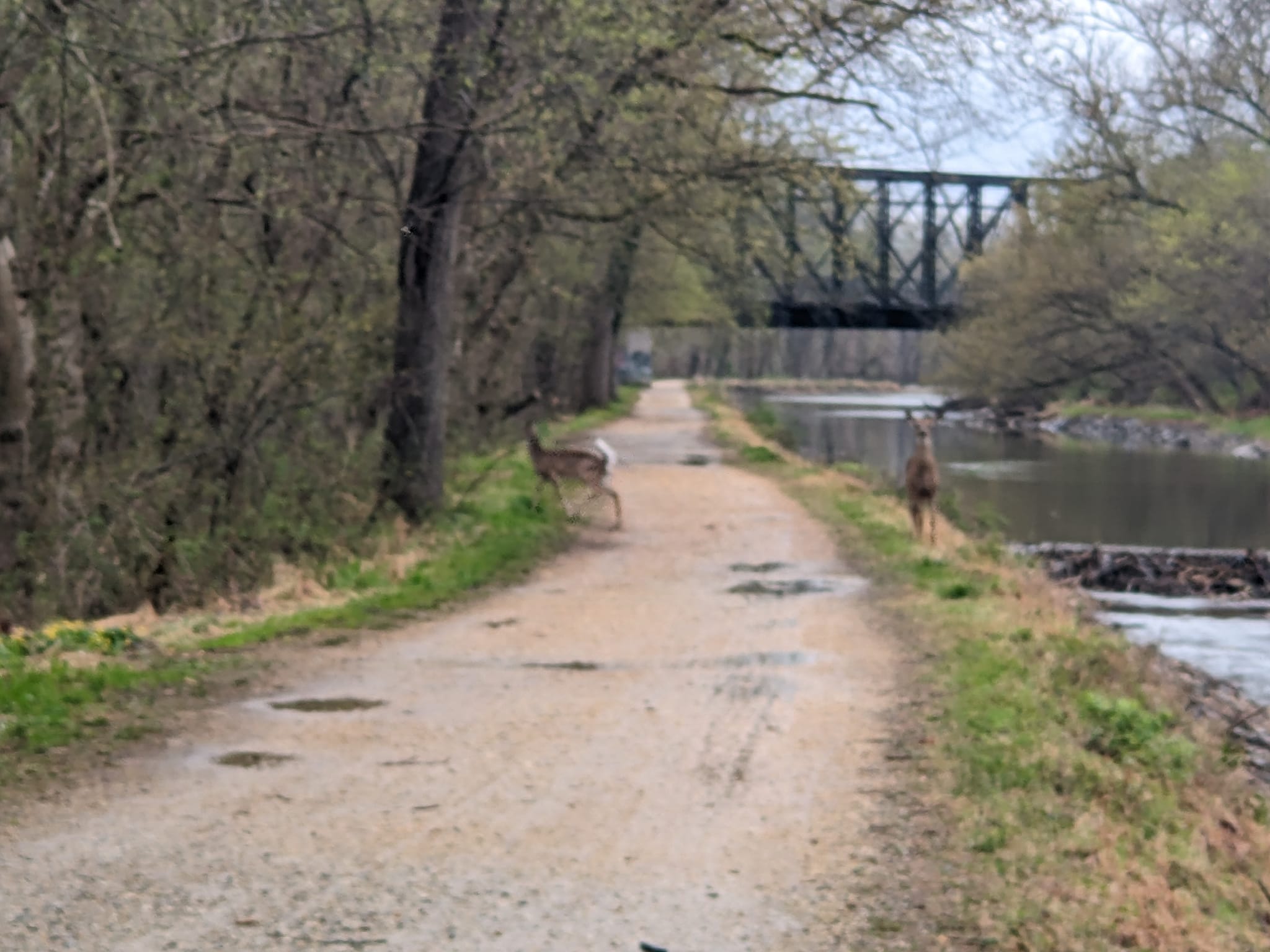 1April 2023 Report | Fletcher's Cove parkrun