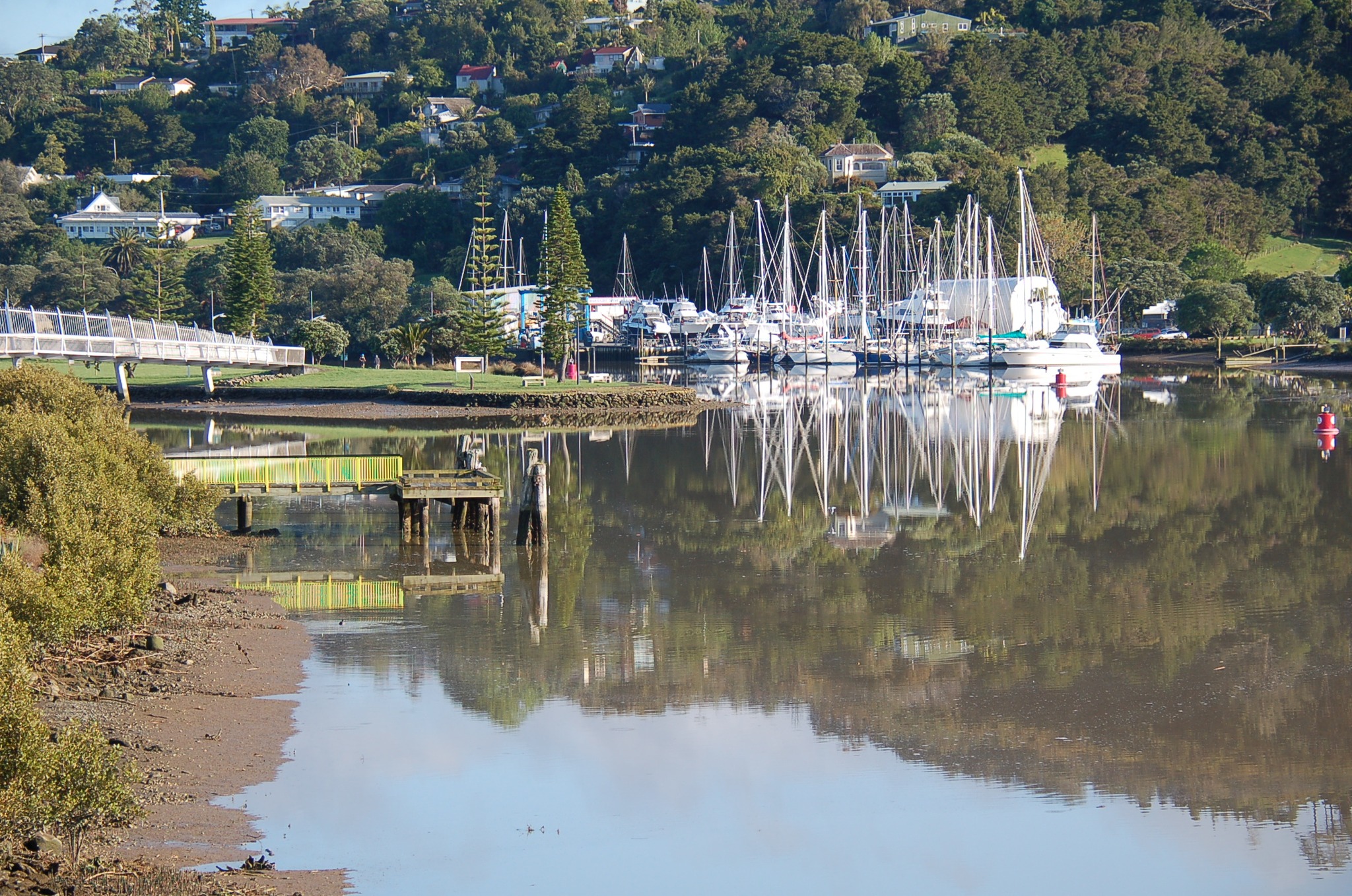 Whangarei parkrun #306 | Whangarei parkrun