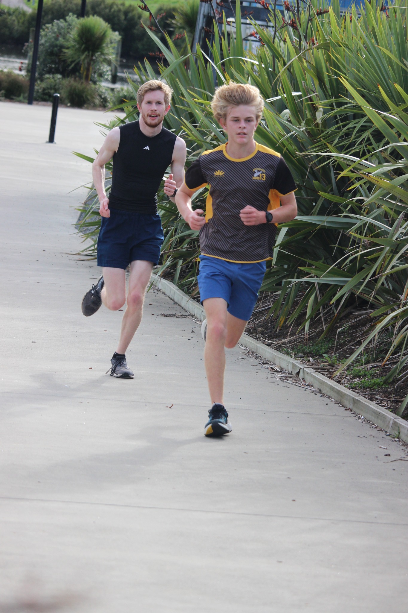 Whangarei parkrun #310 | Whangarei parkrun