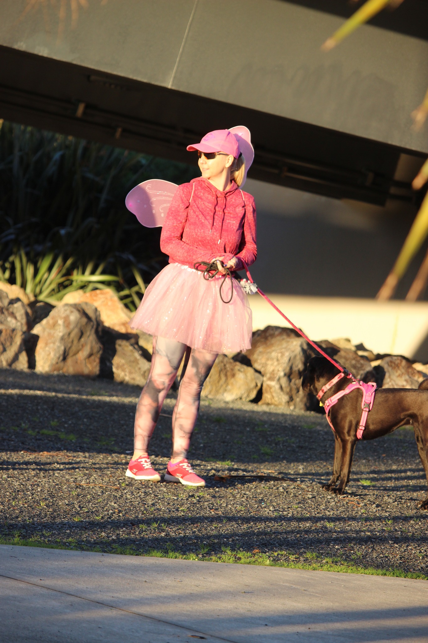 Whangarei parkrun #344 Tutu day | Whangarei parkrun