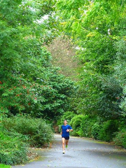 Barrow parkrun 309 | Barrow parkrun