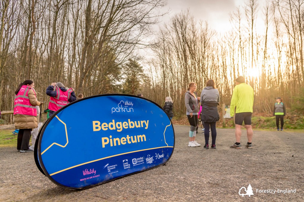parkrun #239 | Bedgebury Pinetum parkrun